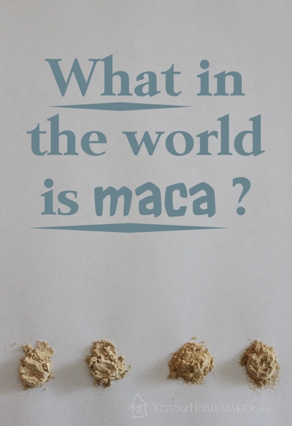 Maca: What is It? What Can it Do for You? and What Do You Do with It?