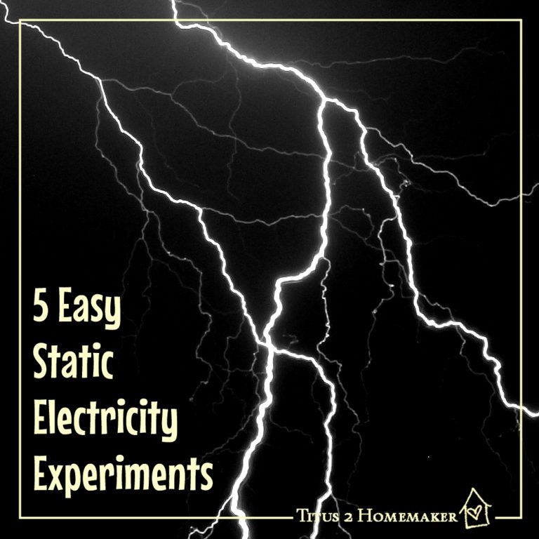 5 Easy Static Electricity Experiments (Do Try This at Home!)