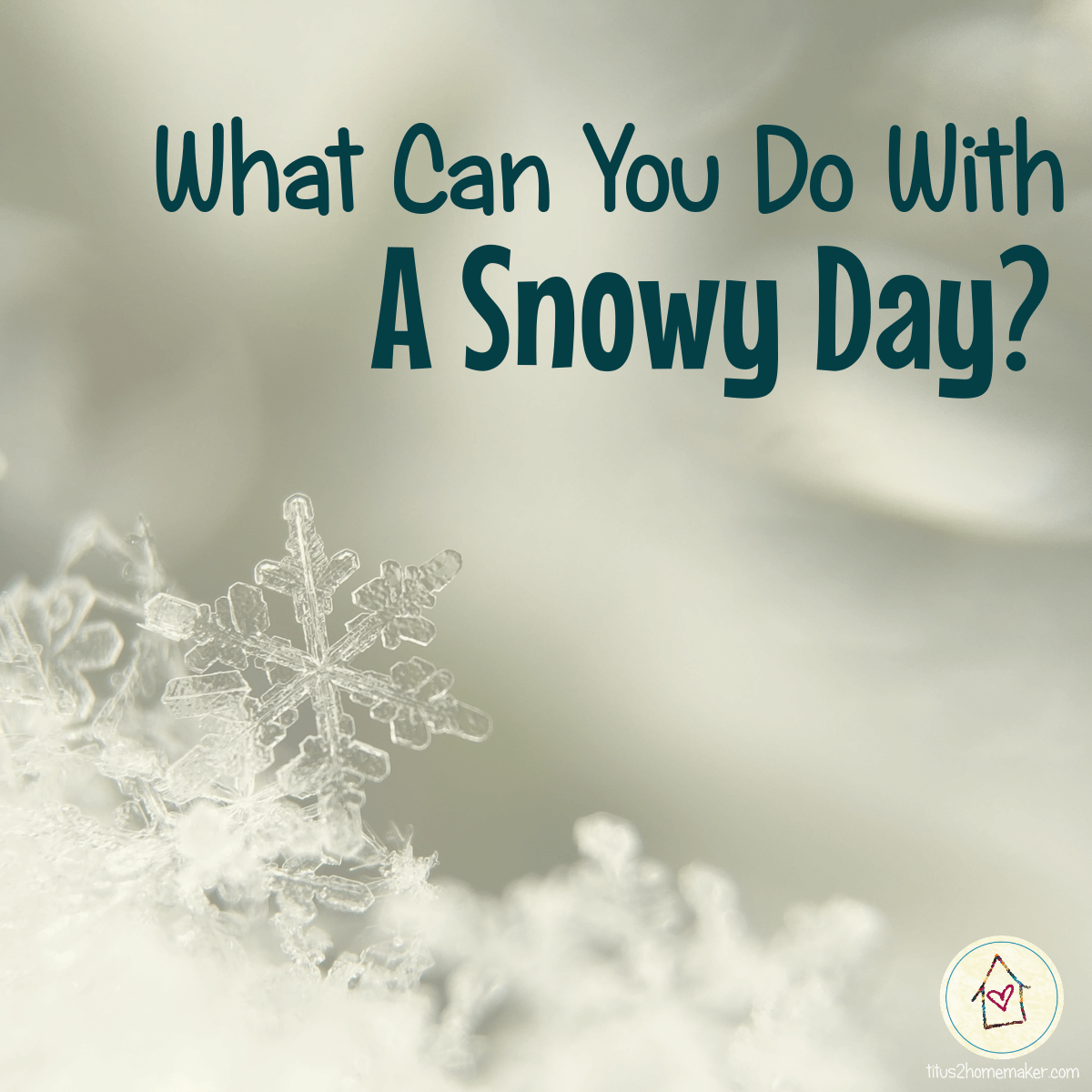 What Can You Do with A Snowy Day?