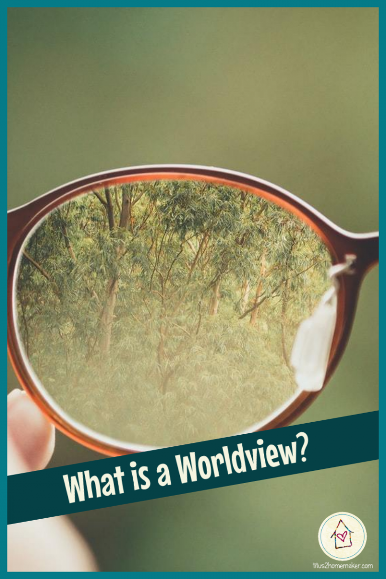 What is a Worldview? Know Your Own Way of Thinking