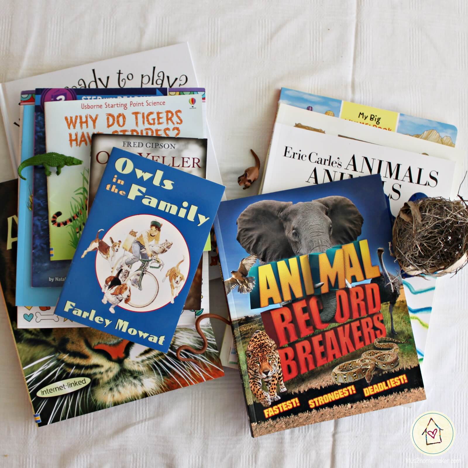 Unschooling: What Inspires Learning?