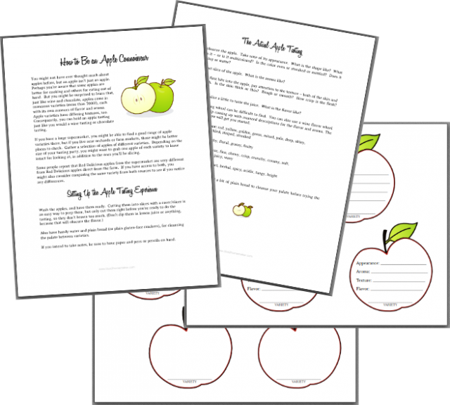 How to Have an Apple Tasting (for Adults)