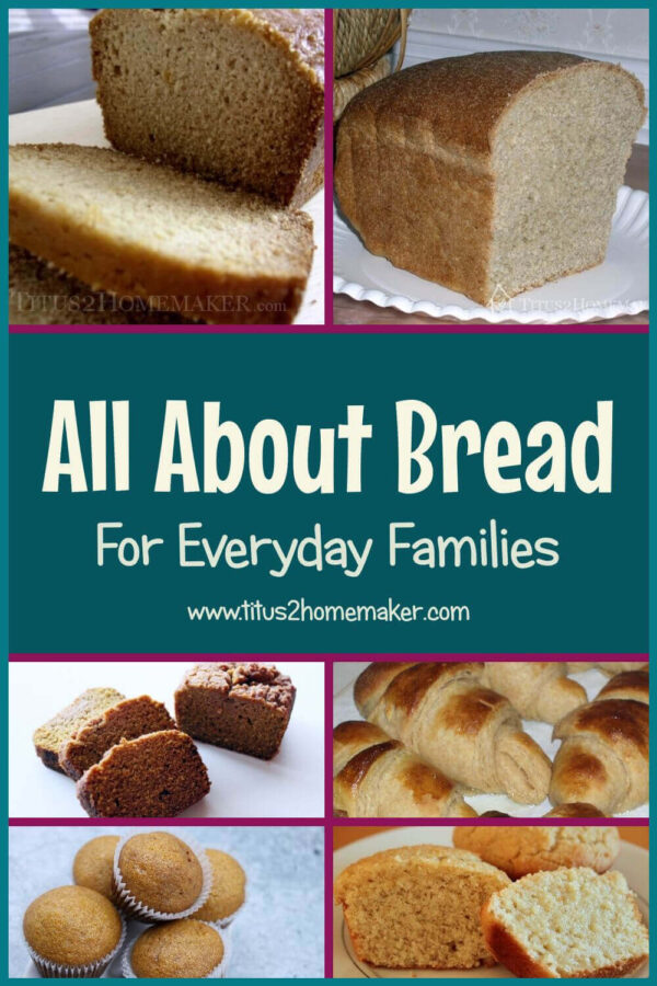 All About Bread (For Everyday Families)
