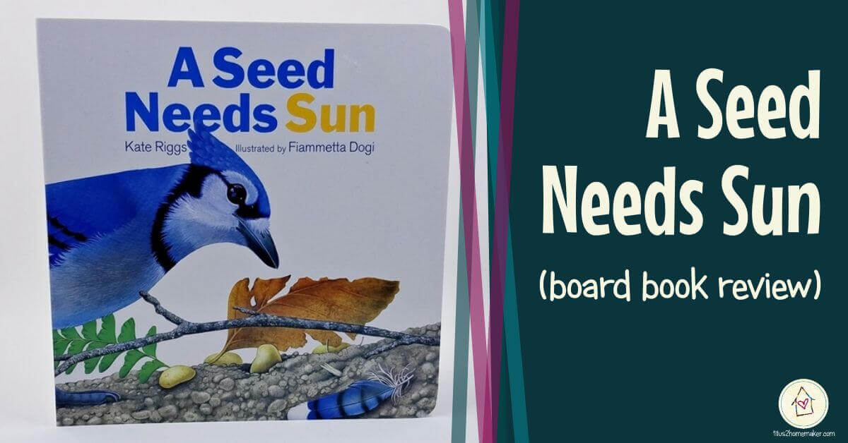 A Seed Needs Sun (board book) {review}