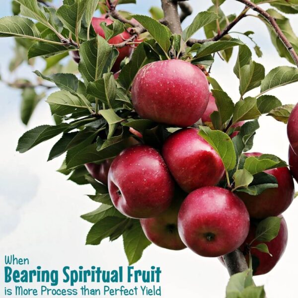 When Bearing Spiritual Fruit is More Process than Perfect Yield