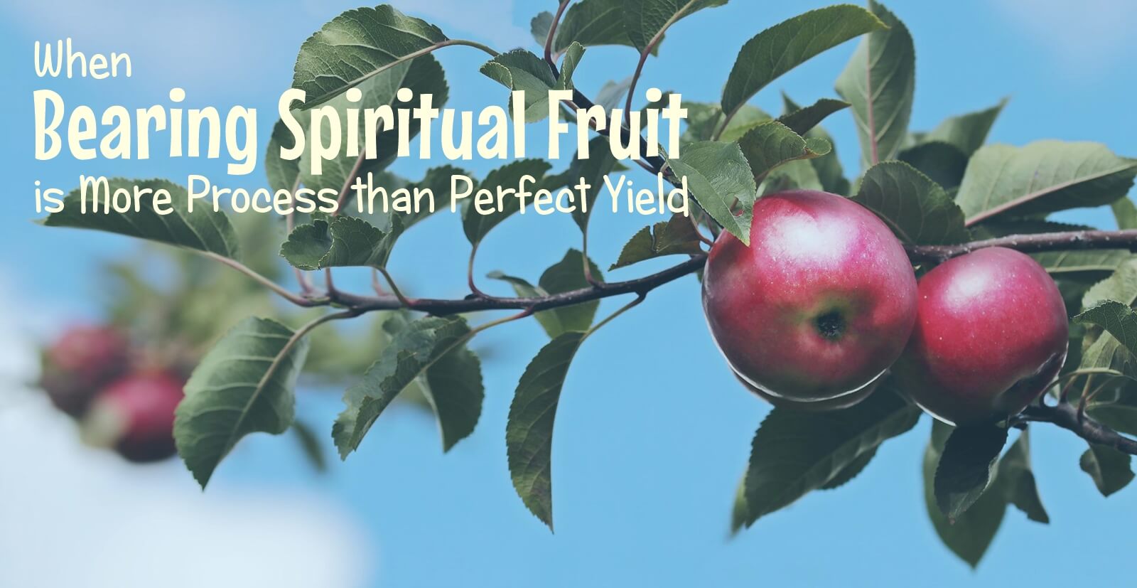 Bijenbestuiving Fruit Wat Is De Oorzaak Van De Afname Van