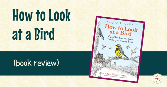 How to Look at a Bird {review}