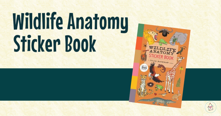 Julia Rothman Sticker Books! (Wildlife Anatomy Sticker Book) {review}